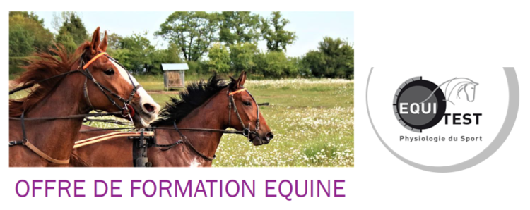 Equi-Test met en place de nouvelles formations théoriques et pratiques ...